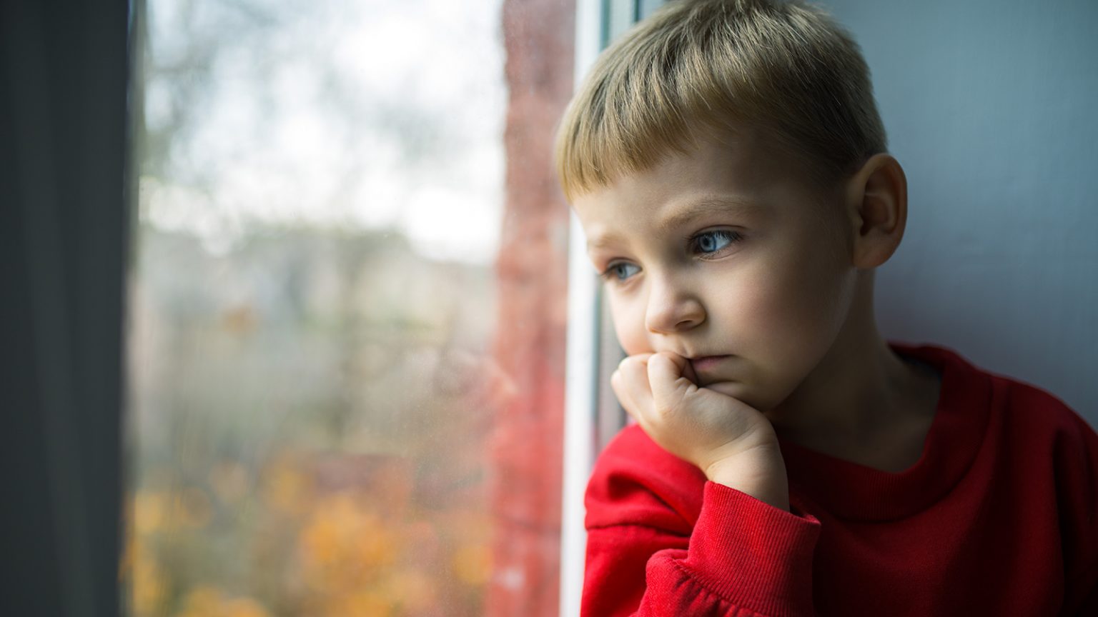 Step 4: Emotional cycle of separation and loss - Forces Children’s ...