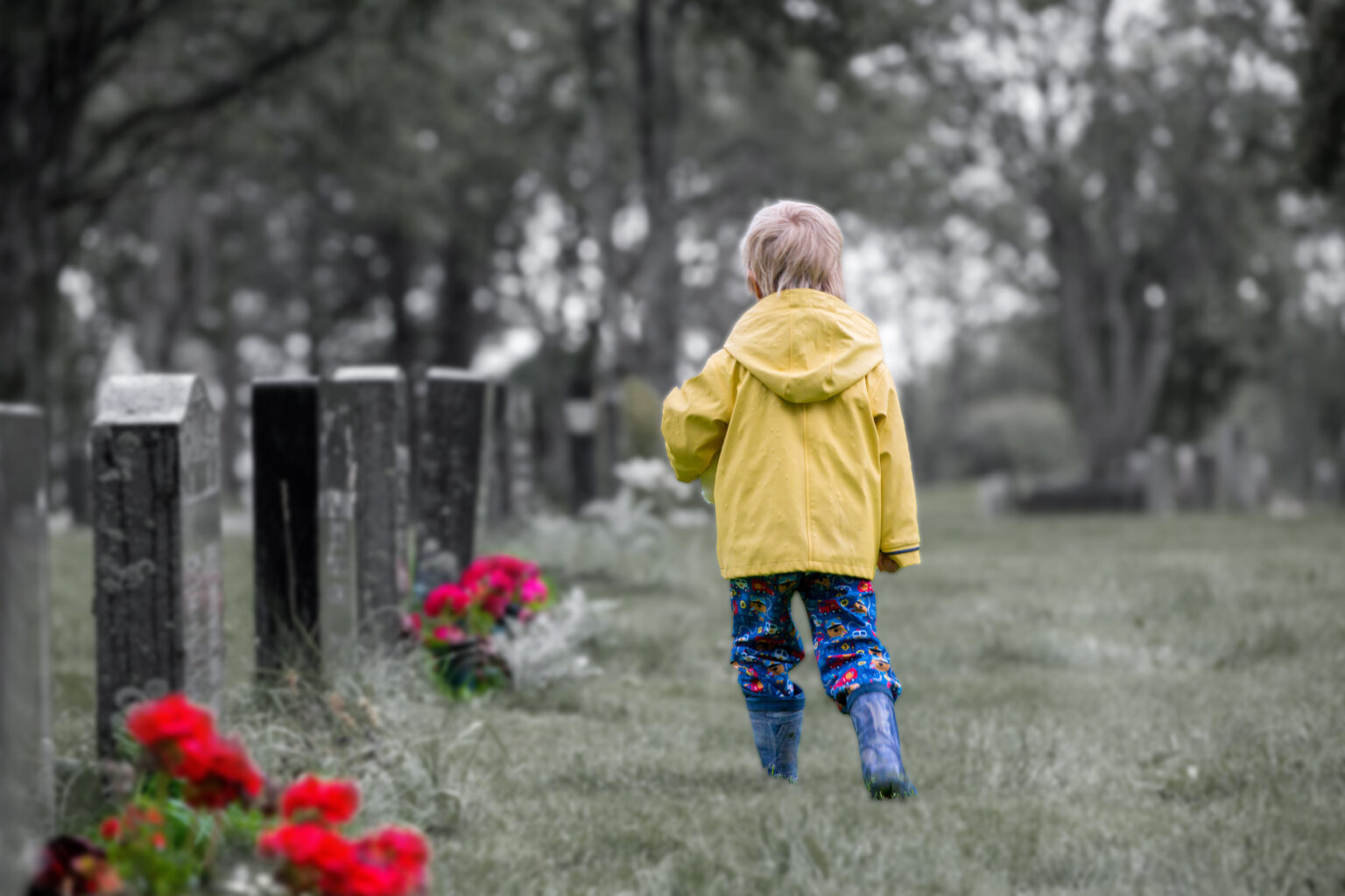 A remembrance guide for children - Forces Children’s Education : Forces ...